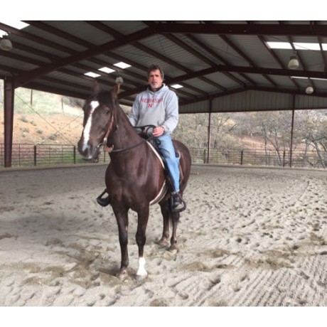 Briandamkroger21 Brian Github