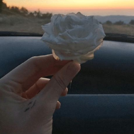 Github Waliddaou Ready Back End Folder - Desktop Nature Wallpapers for Desktop