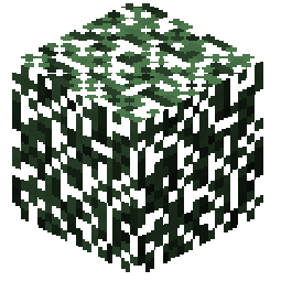 Spruce Leaves Github