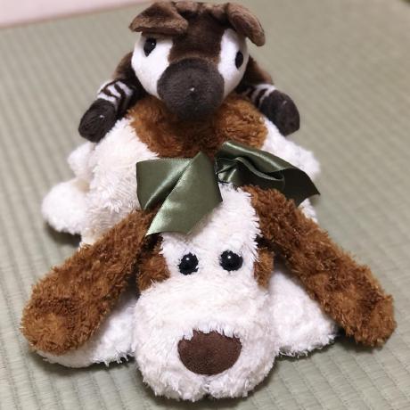 Okapi Dog Okapi Dog Github