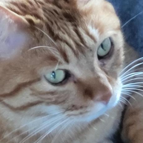 Sequence And Query Github