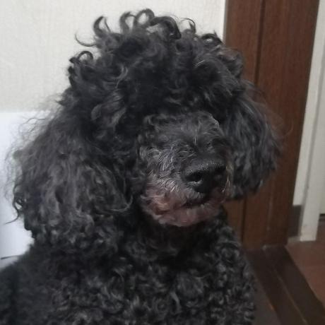 Hshimizu0612 H Shimizu Github