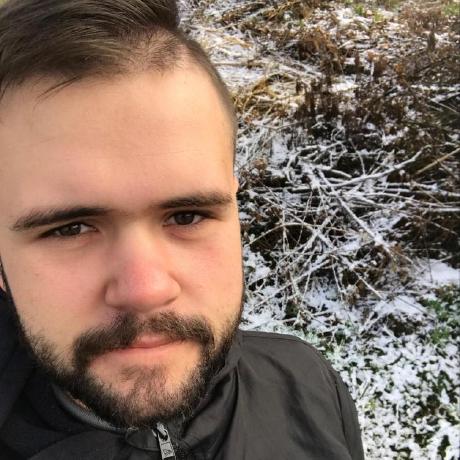 G Blume Gabriel Maciel Blume Github