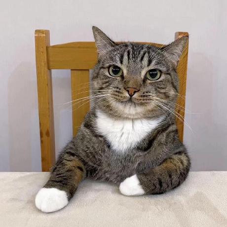 Montes613 Montes Github