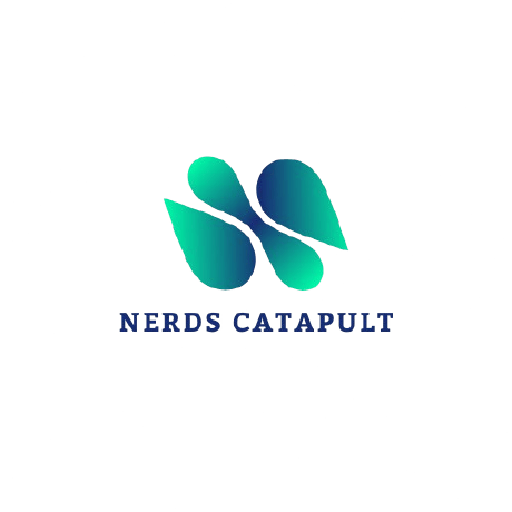 Nerds Catapult Github