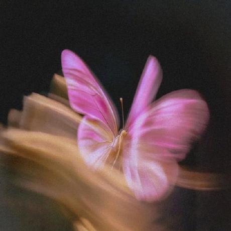 Rekiakhatim Yuuki Github