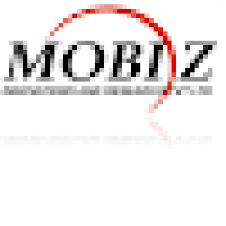 Mobiz Info Github