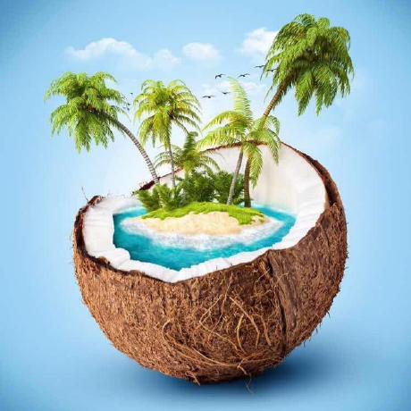 Jiaqi Jiang Jiaqi Jiang Github