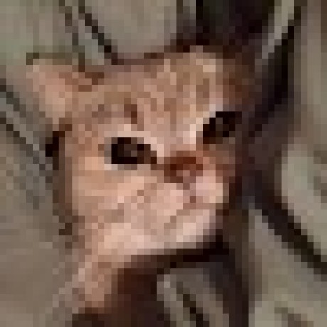 Dragon Sturgeon Github