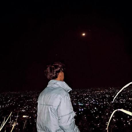 Spicypunhub Spicy Pun Github