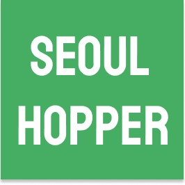 Seoul Hopper Github
