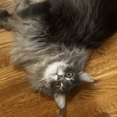 108charlotte Charlotte W Github