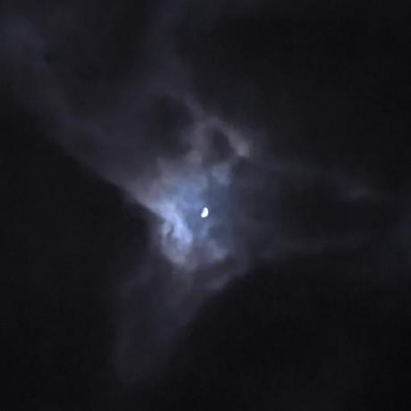 Pavan365 Pavan Github