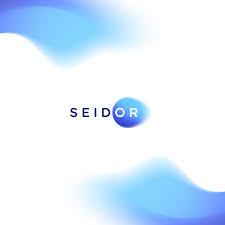 Seidor Digital Github