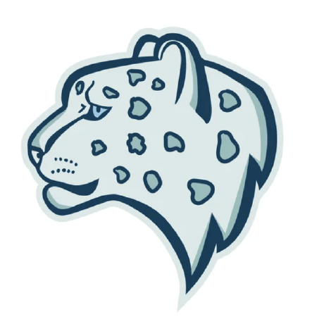 Snow Leopard Engine Github