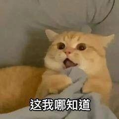 Black Magic Chenchen Github