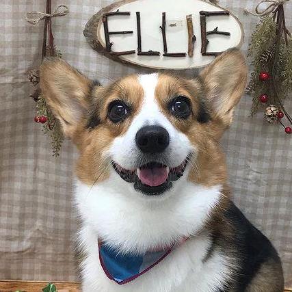 Nakamura Ki Ict Github