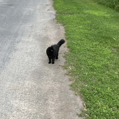 Johnfrancisgit John Github