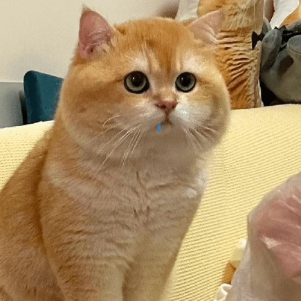 Armyjkw Jakkrawut Maikuea Github - Retina Dark Textures for Desktop