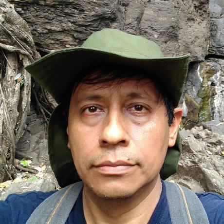 Pe Vi Ca Pedro Villa Casas Github