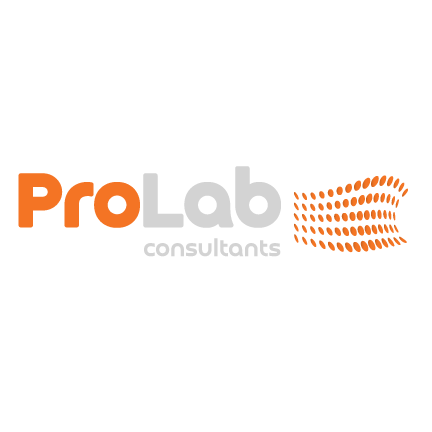 Prolab Consultants Github