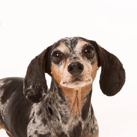 Amanda Tan A Tan Github