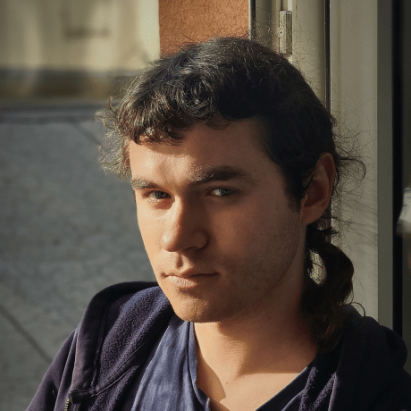 Dmitmel Dmytro Meleshko Github