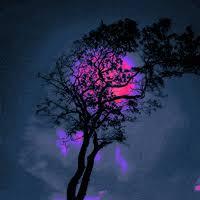 Sania555 Sania Syam Github