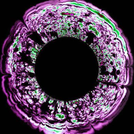 Erina Henf Erina Github