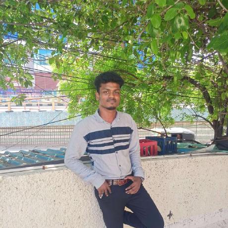 Robinsondeveloper Robinson Github