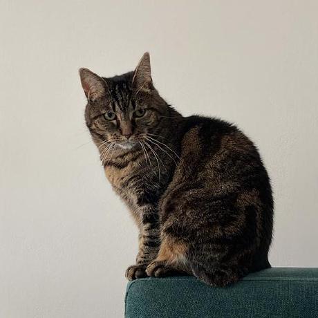 Code To Learn Now Github