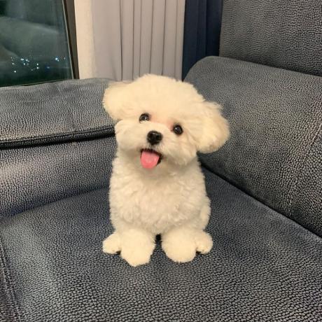 Github Gemramirez Reactjstraining - Download Ultra HD Colorful Texture | 4K