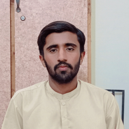 Farhan3354 Farhan Bashir Github