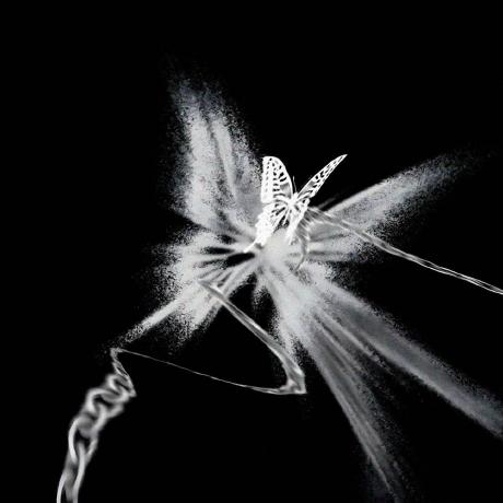 Huayu L Huayu Github