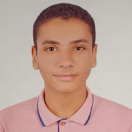 Abdelrahmangpt Abdelrahman Hany Github