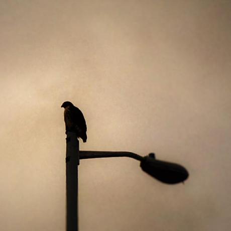 Mitch Vana Mitch Vana Github