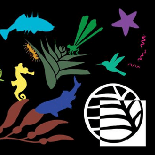 Ubc Biodiversity Research Centre Github