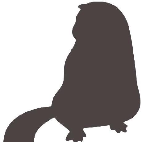Beaver Works Inc Github