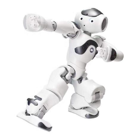 Sdnu Robotics And Ai Lab Github