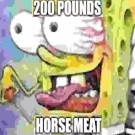 200horsemeat Horsemeat Github