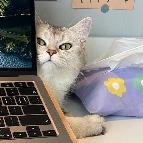 Evelynseven Evelyn Sun Github