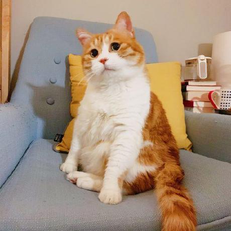 Braver Braver Braver Github