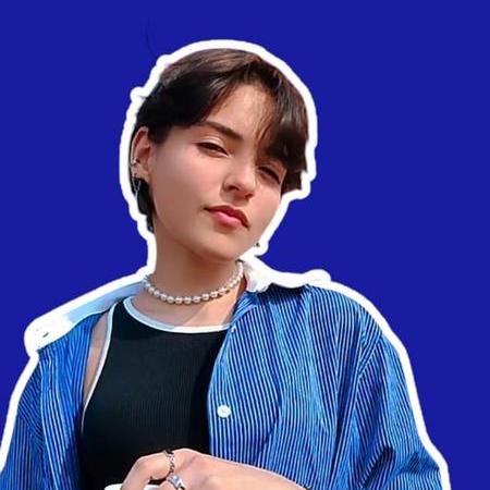 Elizzinbits Elizabeth Github