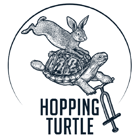 Hopping Turtle Github