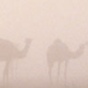 Nomads In Oman Github