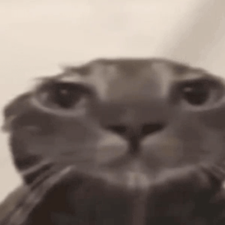 Dhs Programming Github