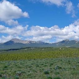 Frontendwebdeveloping Github