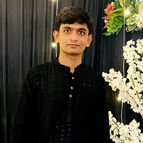 Parth2487 Ranipa Parth Github