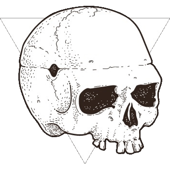 Ghost Squadron Github