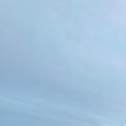 Siameseparrots Don T Feed The Parrots Github